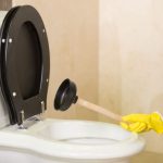 Dissolve Poop Stuck in a Toilet: Quick Ways to Remove the Clog ...